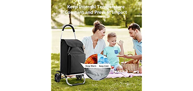 Best Folding Shopping Carts for Seniors - Covenient to Handle – Senior ...